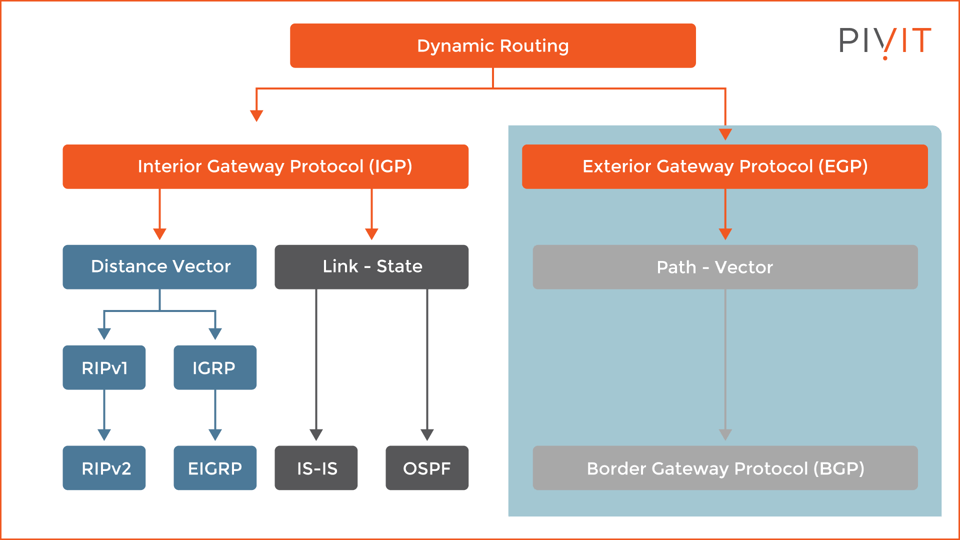 Why Is BGP the King of Routing Protocols?
